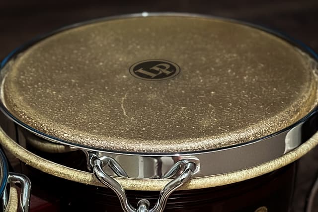 HEADS | Latin Percussion - LP® Official
