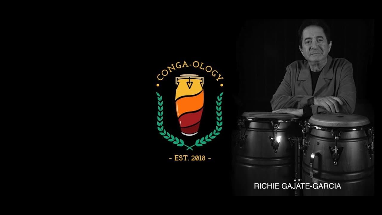CONGAS | Latin Percussion - LP® Official