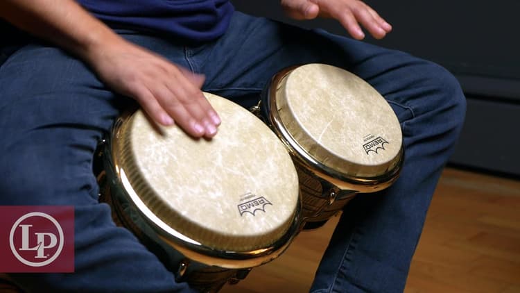 BONGOS | Latin Percussion - LP® Official