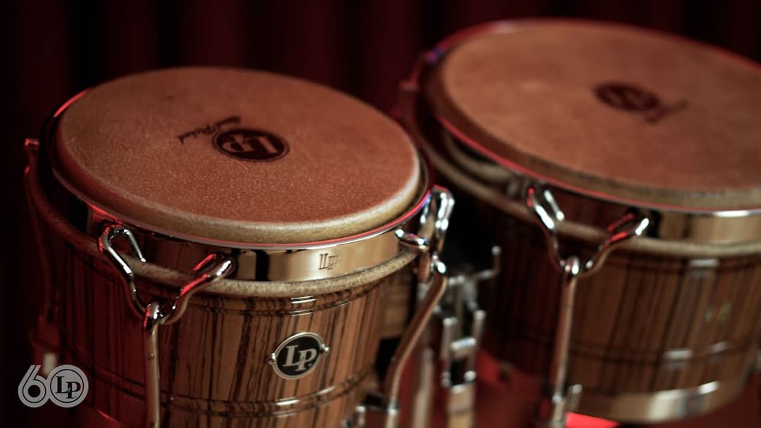 John "Dandy" Rodriguez | Latin Percussion - LP® Official