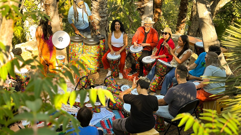WORLD BEAT PERCUSSION | Latin Percussion - LP® Official